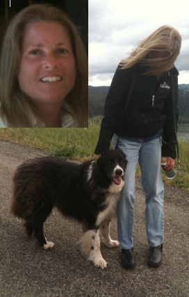 psconsulting - Work historyPam Conboy